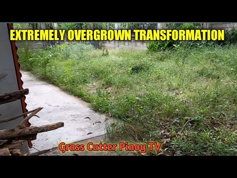 EXTREME OVERGROWN FRONT YARD MAKE OVER / MUST WATCH THE TRANFORMATION ...