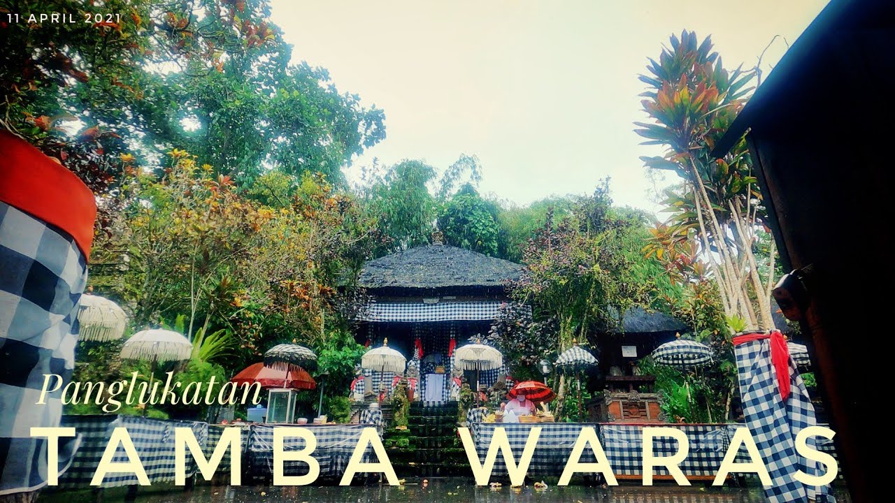 Panglukatan TAMBA WARAS-Tabanan /4k-GOPRO Hero 9 (11 April 2021) - YouTube