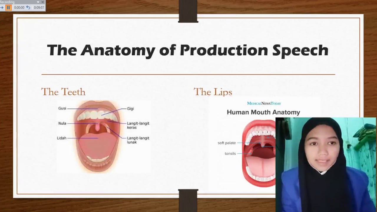 Anatomy and Physiology of speech production : Group 2 - YouTube