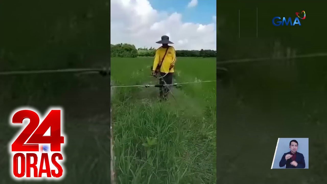 Nakalaylay na kawad ng kuryente, abala sa palayan sa Cavite; peligroso ...