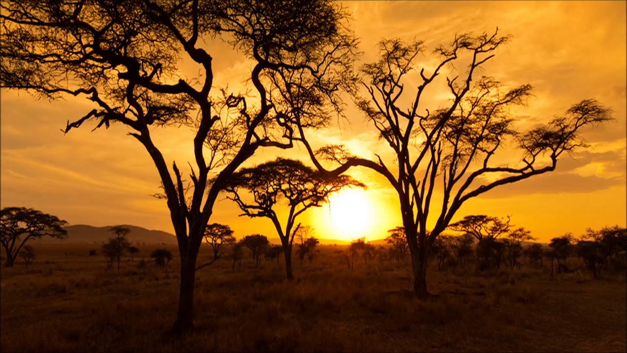 DJ Twitty feat.Sophiatown - Impilo Ethekwini (HVSA Remix) - YouTube