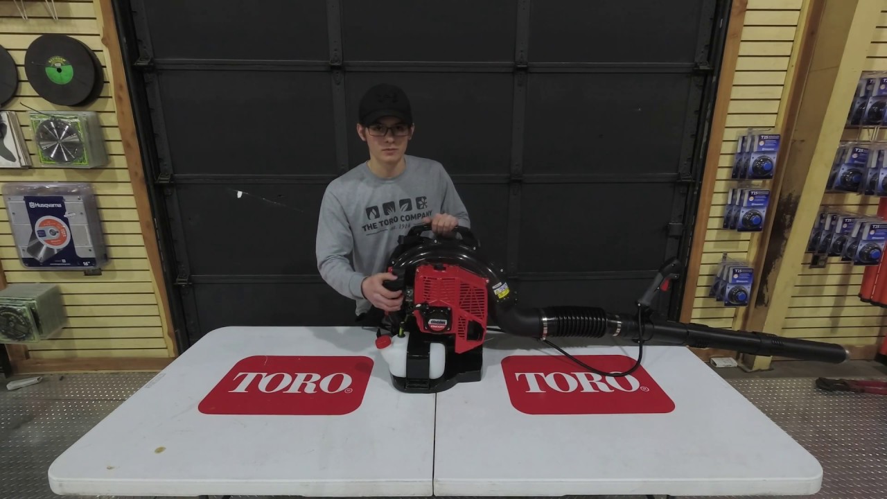 Shindaiwa EB600RT Professional Grade Backpack Blower - 58.2 cc Engine ...