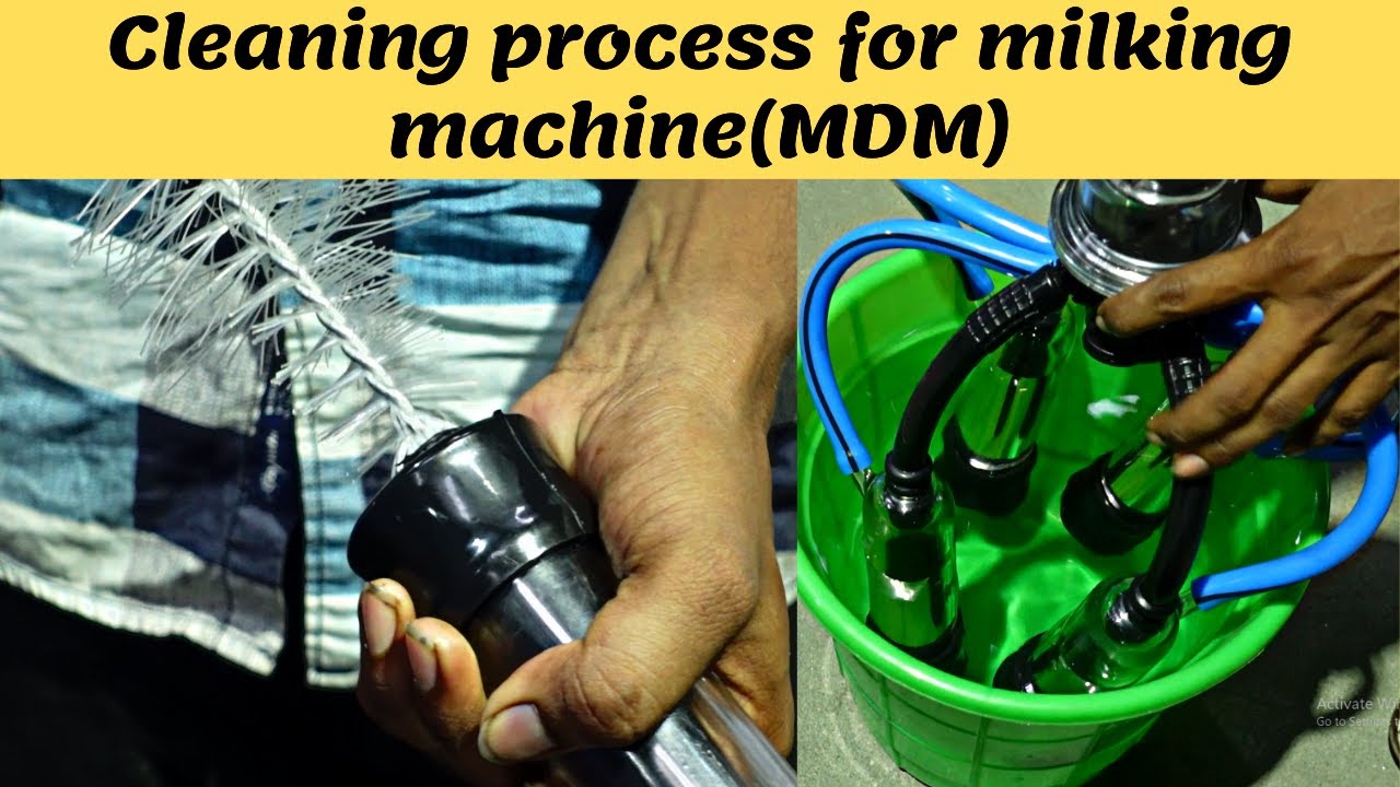 Cleaning steps for milking machine | milking machines | milking machine ...