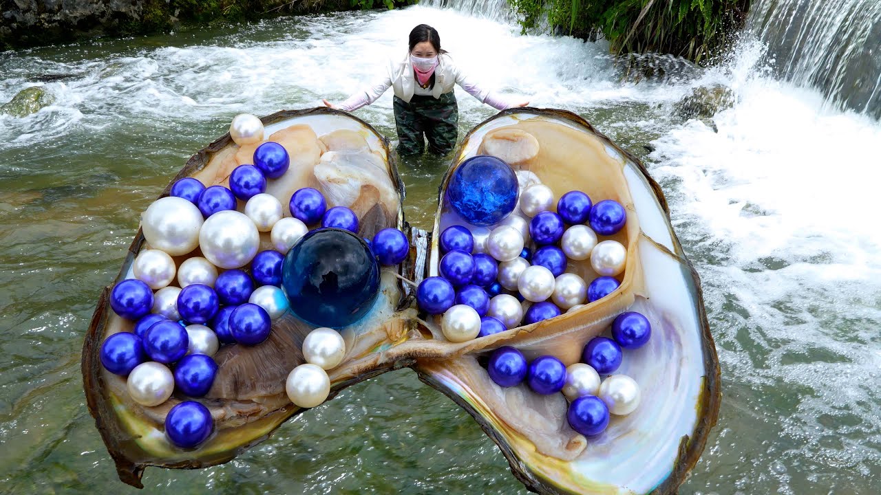 🎁The giant clam growing in the clear spring water, nurturing charming ...