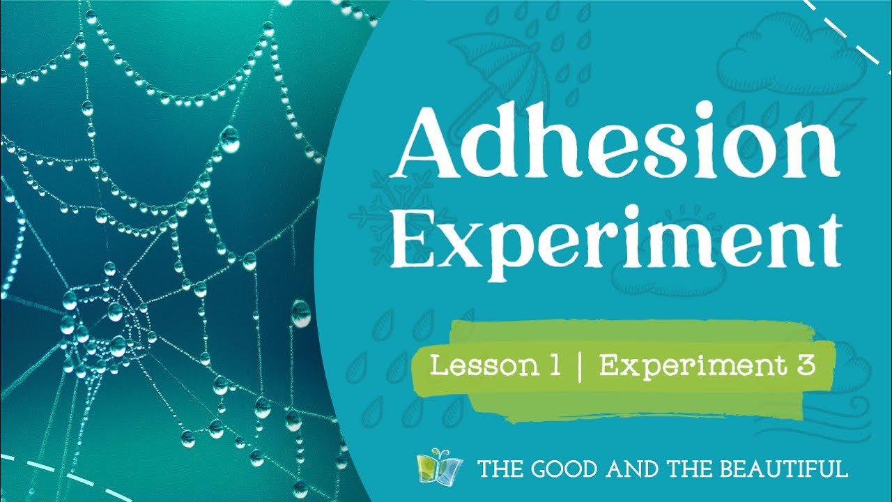 Adhesion Science Experiment | Water and Our World | The Good and the ...