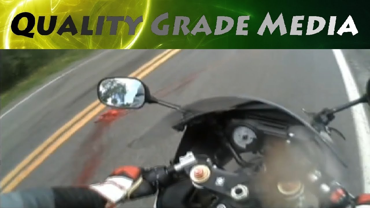 Deer Gets Cut in Half by Motorbike - YouTube