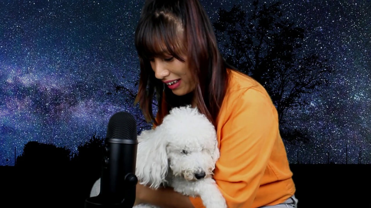 PRIMO ASMR CON CANE - FIRST ASMR WITH DOG - PRIMERO ASMR CON PERRO ...