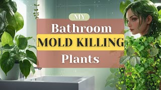My Bathroom Mold Killing Plants | Low Light Plants for Bathroom | I Tried AI Voice Generation