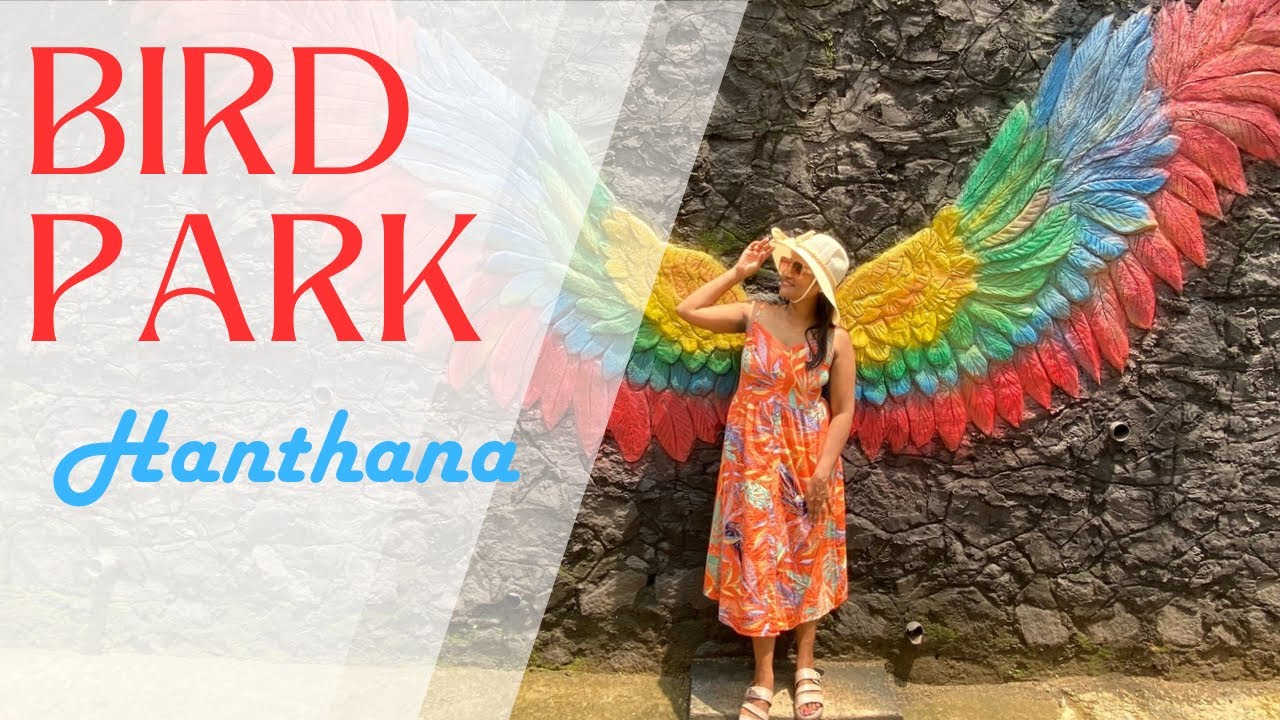 Hanthana Bird Park | Kandy Sri Lanka | - YouTube