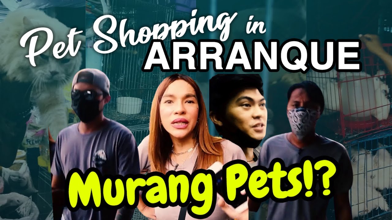 ARRANQUE MARKET TOUR with PACKBOYS | Wolfpack Exotics - YouTube