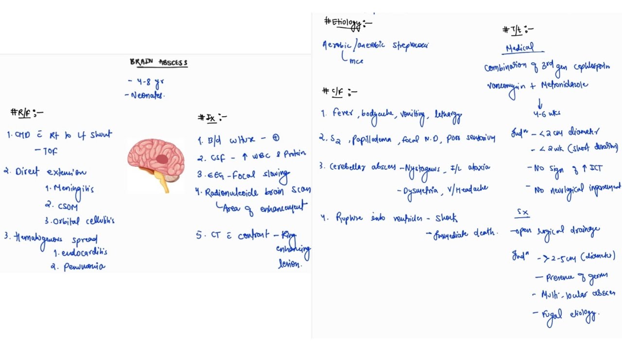 BRAIN ABSCESS NOTES | ONE PAGE NOTES | CNS | MEDICINE | 4TH PROFF ...