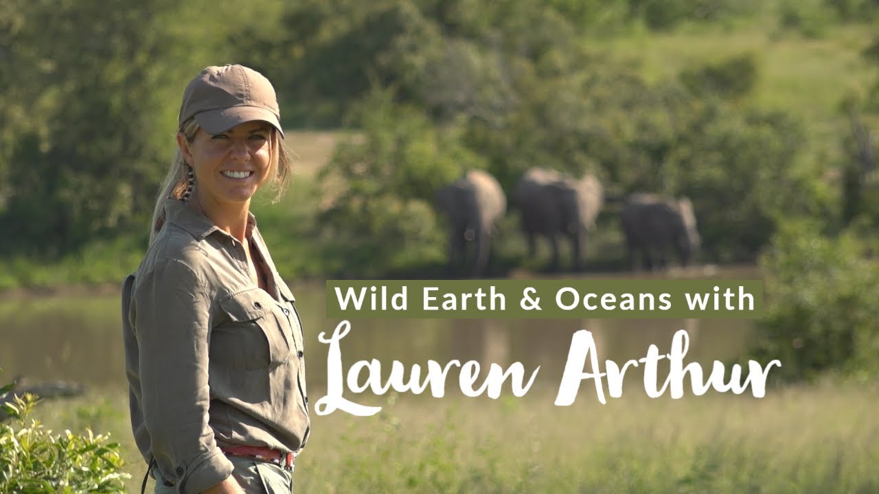 Wild Earth & Oceans with Lauren Arthur - YouTube