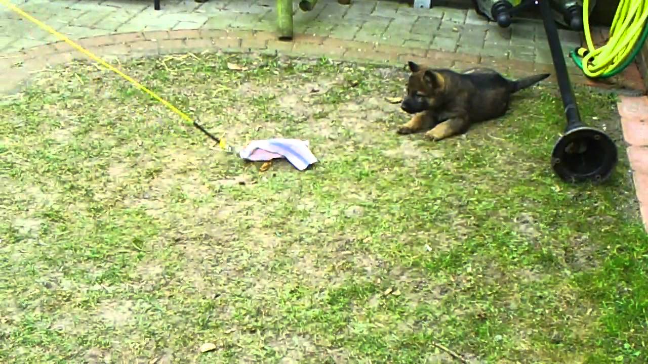 CLIP0035.AVI - YouTube