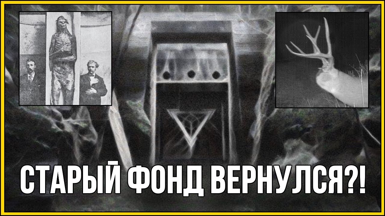 RPC Authority - тот самый SCP? - YouTube