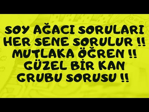 SOY AĞACI HER SENE SORULUR !! MUTLAKA ÖĞREN !! GÜZEL BİR KAN GRUBU SORUSU !!