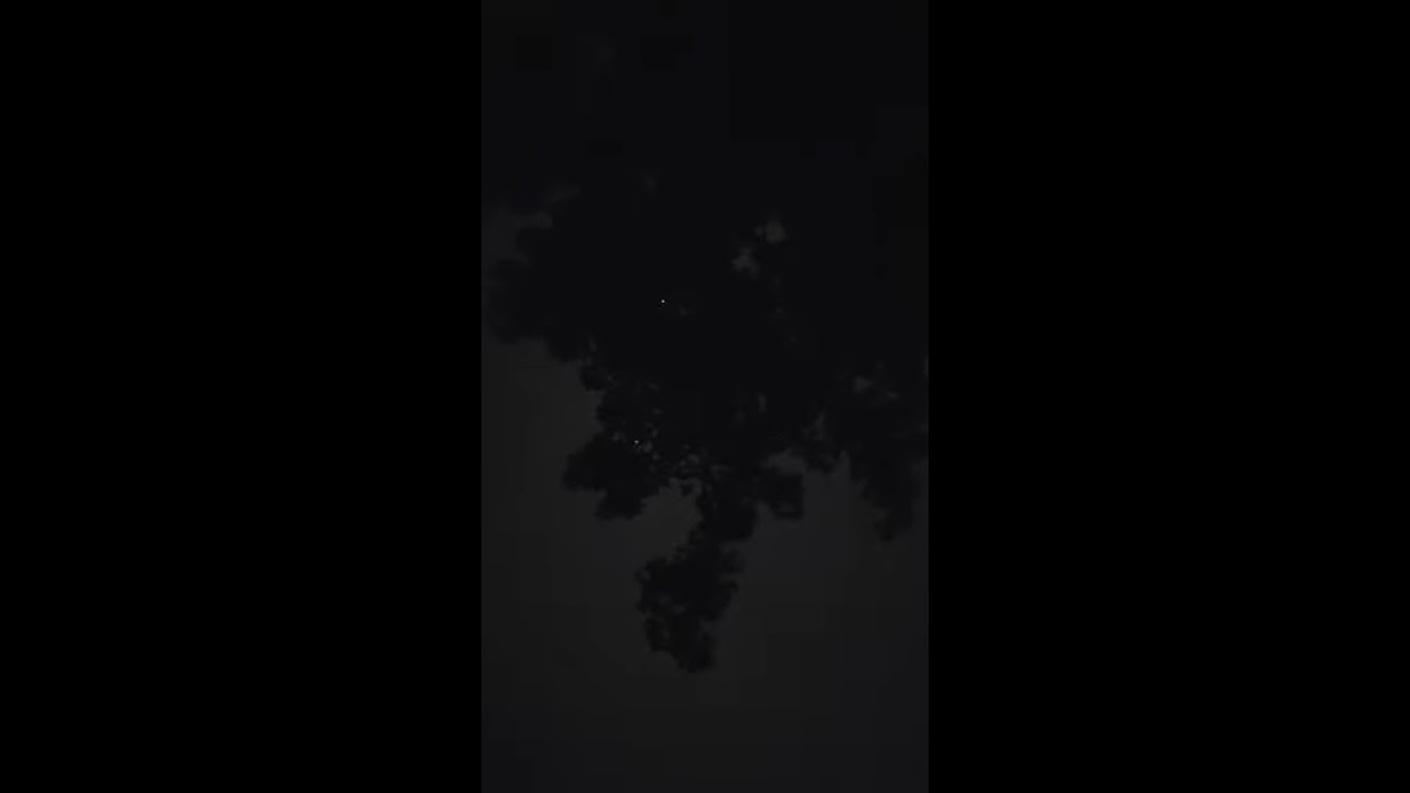 Sparkling Tree - Original Audio - YouTube