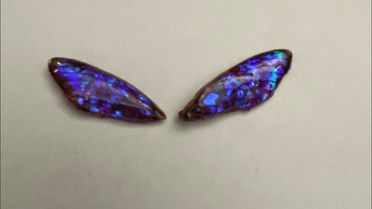 UV Resin iridescent Cicada Wings - YouTube