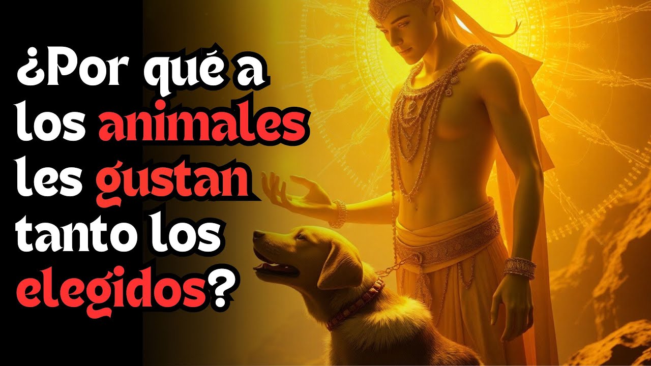 ELEGIDOS: Descubre por qué los Animales se Sienten Atraídos por Ti ...