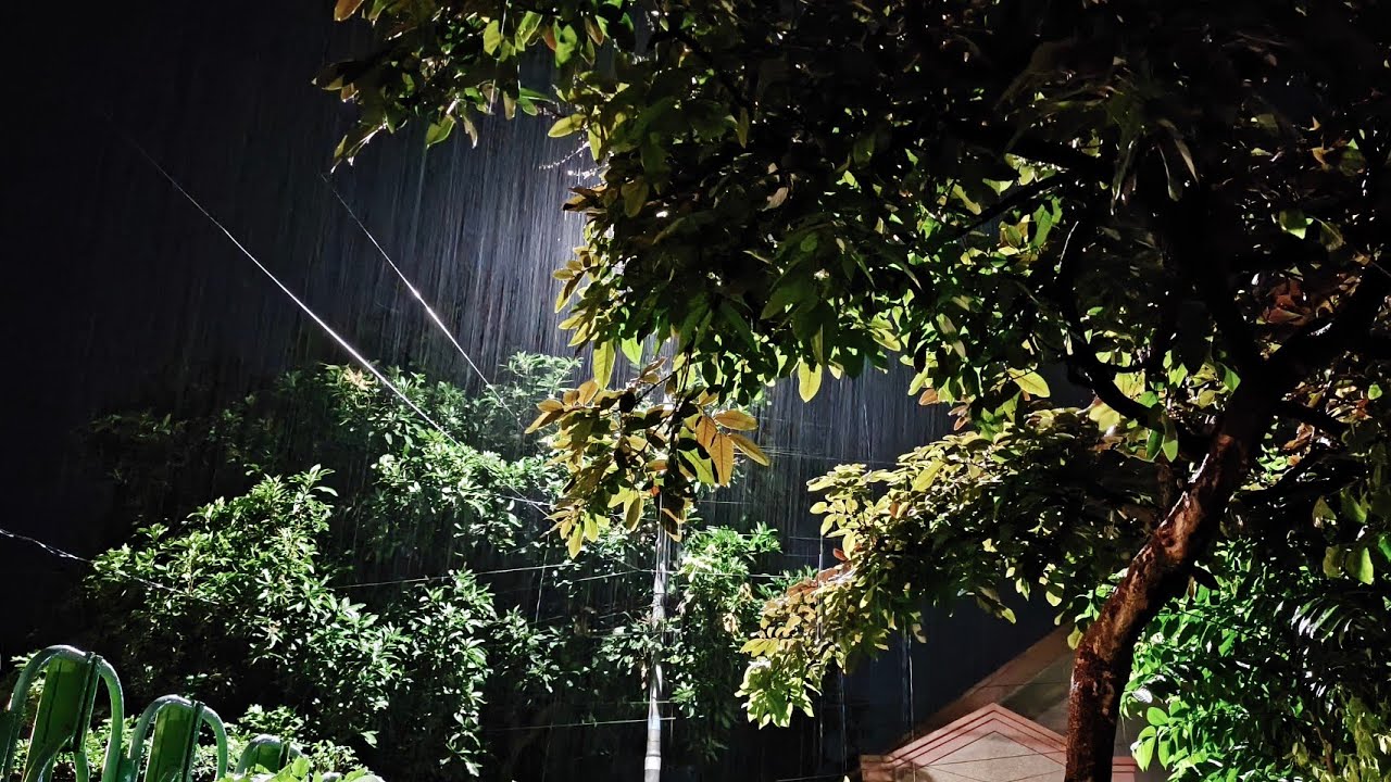 ASMR beautiful rain sound for relaxation | Rainy day on rainy season so ...