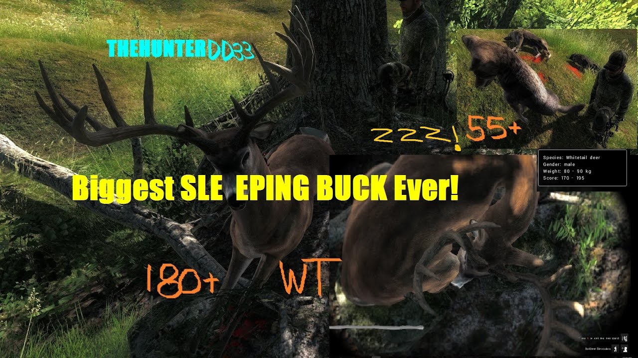 Biggest SLEEPING BUCK Ever!!! THEHUNTER DD33 - YouTube