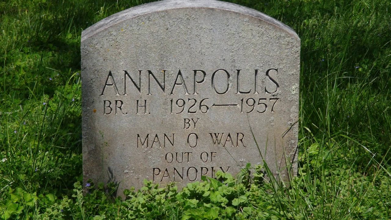 James Madison Cradle to Grave home (VA, 2013) - YouTube