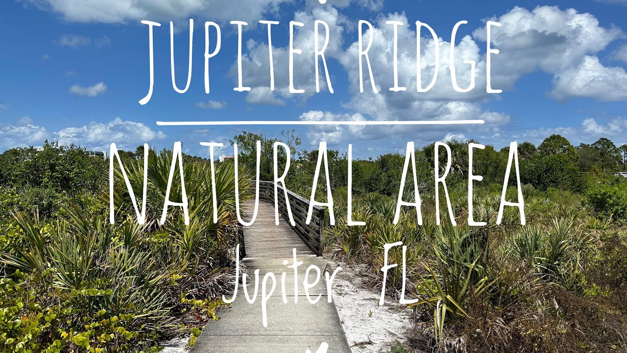 Jupiter Ridge Natural Area, Jupiter FL 🌴 - YouTube