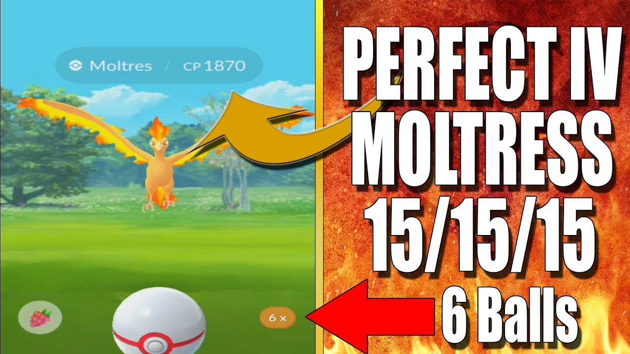 PERFECT IV MOLTRESS - POKEMON GO 15/15/15 100% IV | EXTREMELY RARE ...