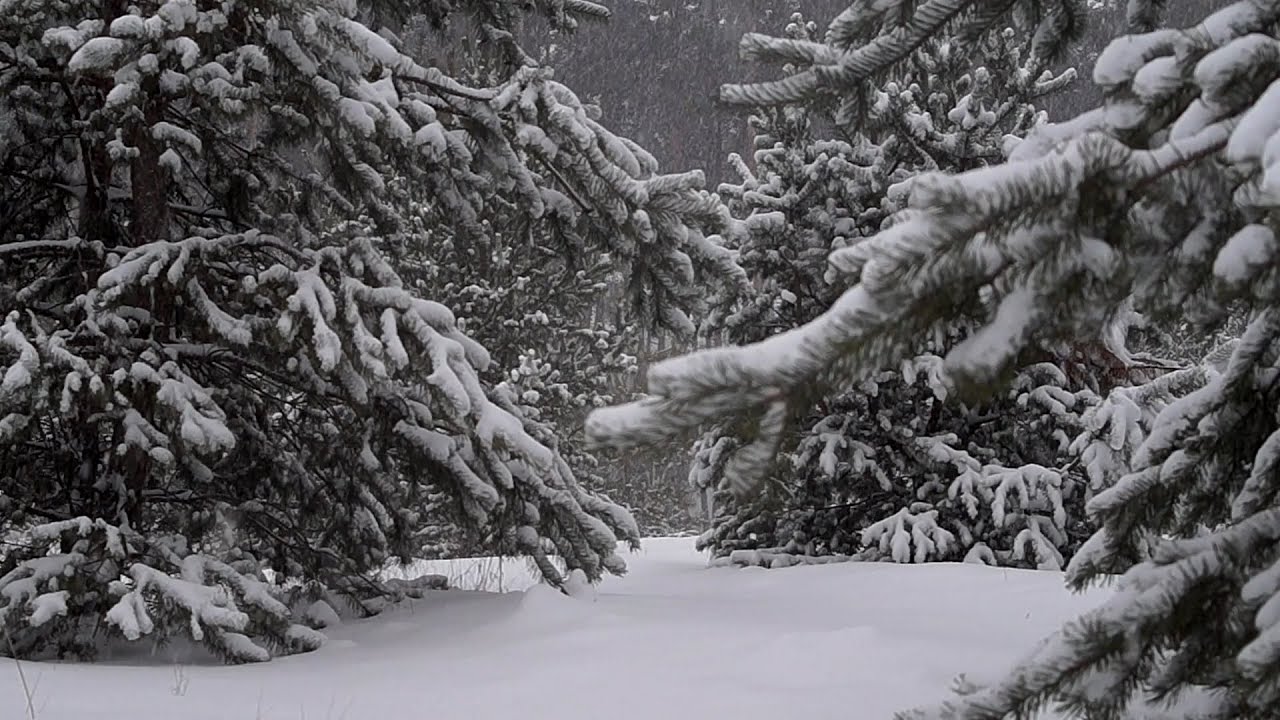 Gentle Snowfall: Winter Sounds for Deep Sleep and Meditation | Relax ...