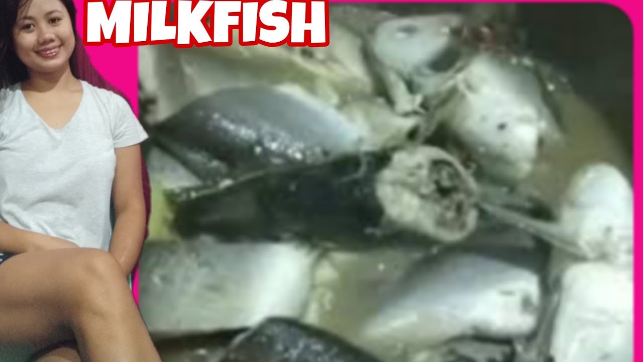 A FAMOUS RECIPE MILKFISH/ BANGUS IN THE PHILIPPINES/NATIONAL FISH - YouTube