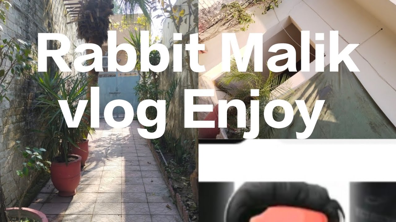 1K like one case subscribe rabbit Malik bro first vlog my you tube ...