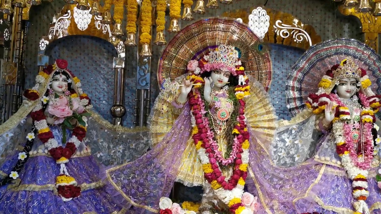 Radha Vinod Bihari Morning Darsana - YouTube