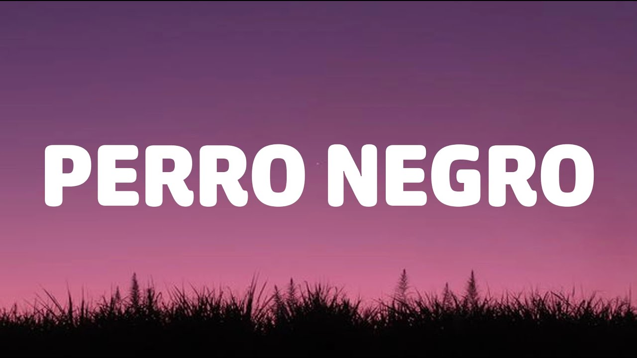 Bad Bunny x Feid - PERRO NEGRO (Letra/Lyrics) - YouTube