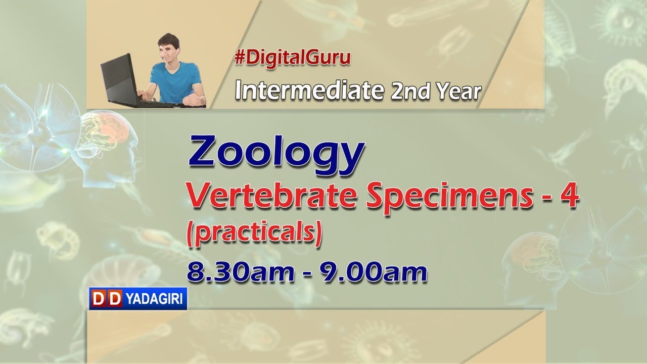 2nd Inter Zoology || Vertebrate Specimens-4 || Intermediate Education ...