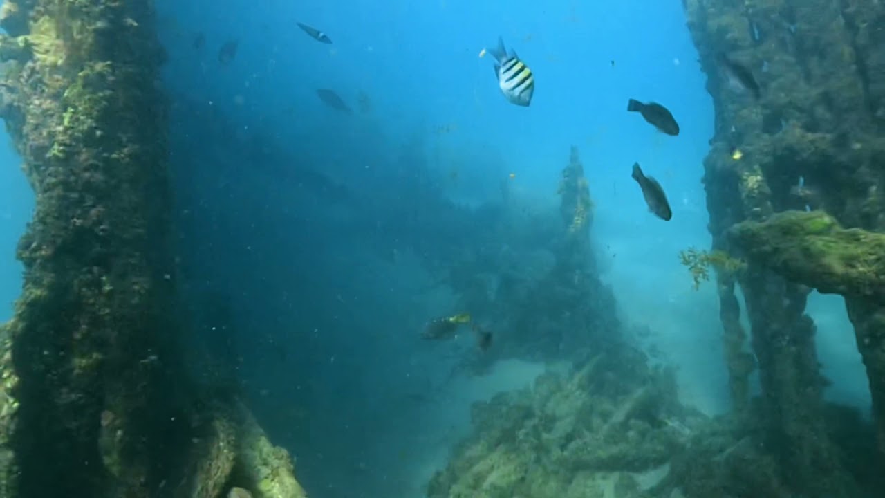 Escambron Marine Park , San Juan, Puerto Rico. - YouTube