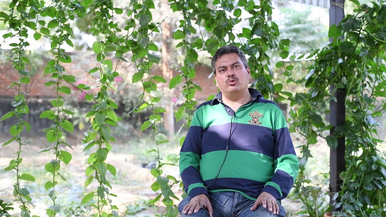 The Green Army -Volunteers speak up on Peepal Baba and Give Me Trees ...