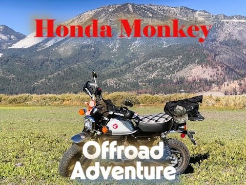 Honda Monkey Offroad Adventure - YouTube