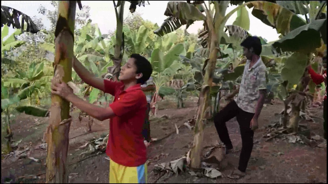 EBSB Video JNV Trivandrum - YouTube