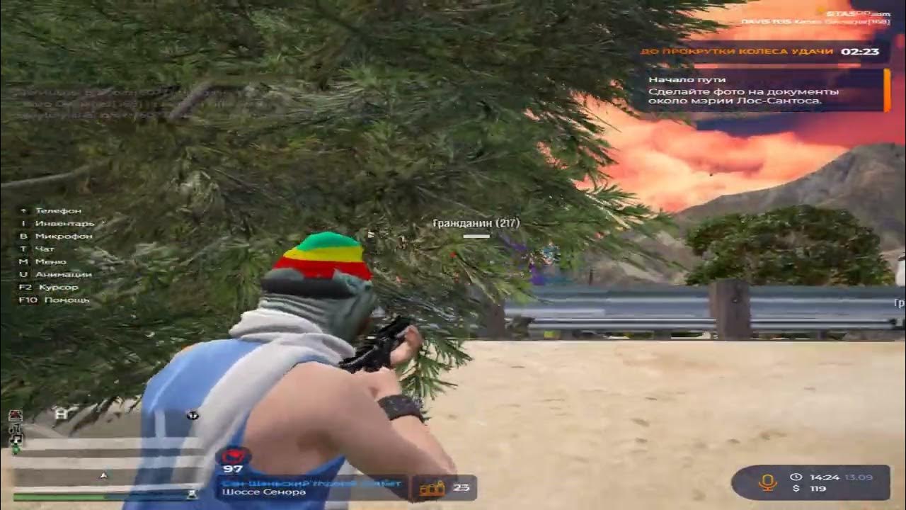 котики - YouTube