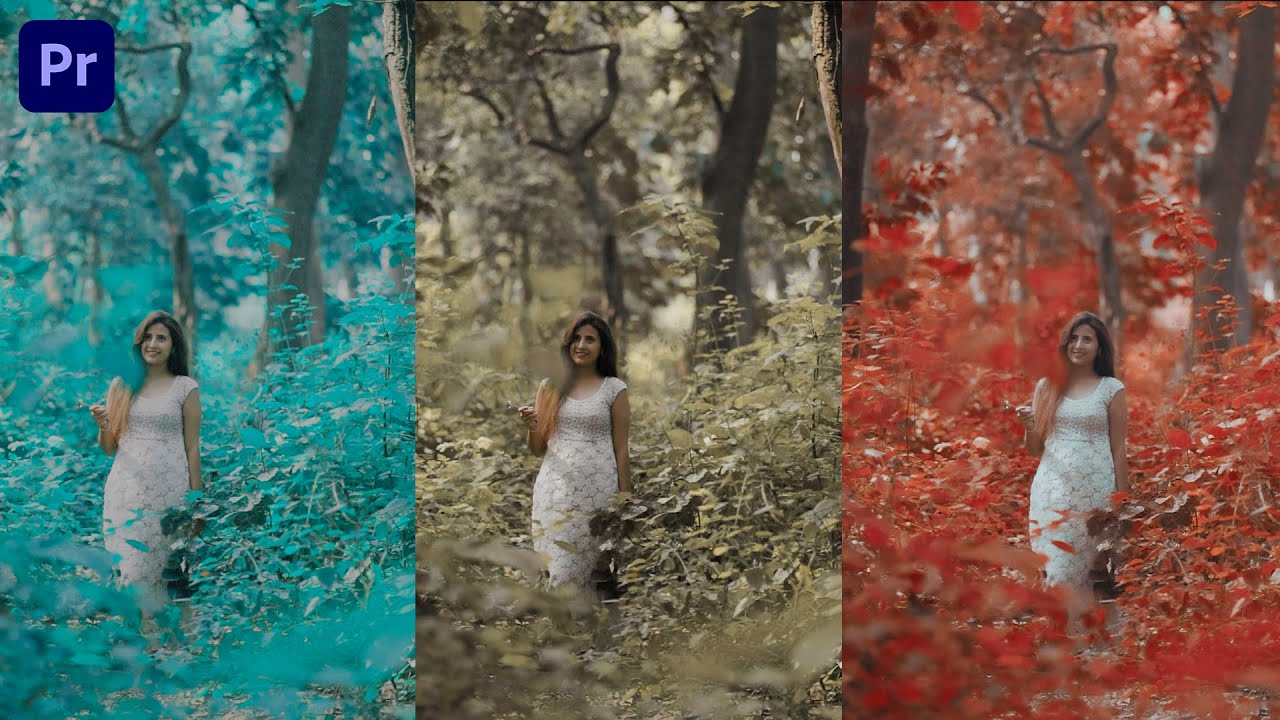 Get Hollywood Film Look Color Grading || 3 STEPS || In Premiere Pro CC ...