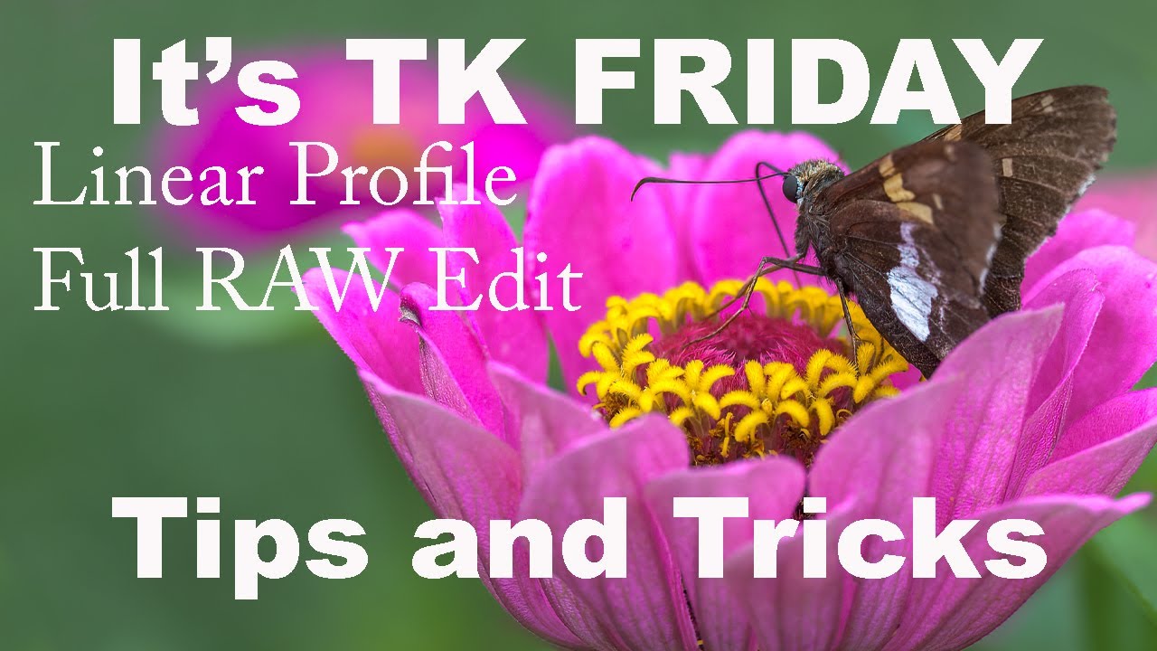 WORKING WITH LINEAR PROFILES: It's TK FRIDAY: Linear Profile FULL RAW ...