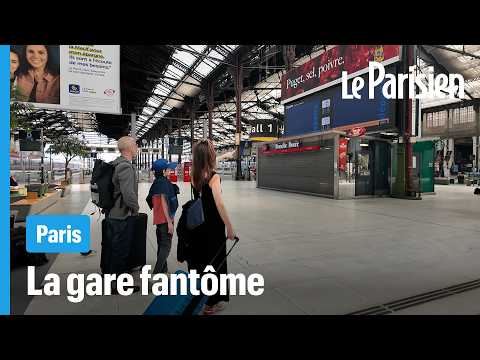 Ces voyageurs « pas du tout au courant » que la Gare de Lyon était fermée