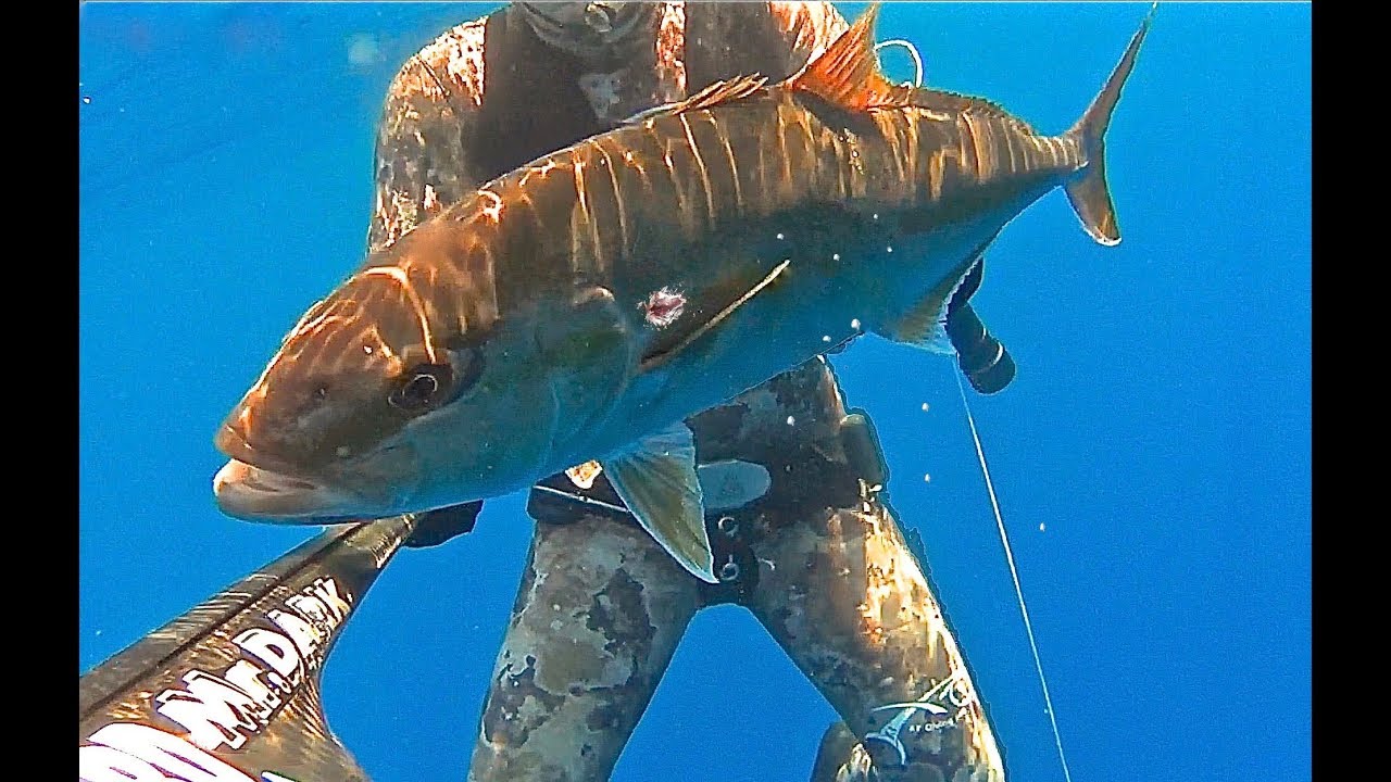 Ψαροντουφεκο ρηχο και βαθυ 2017 - Spearfishing Deep and Shallow 2017 ...