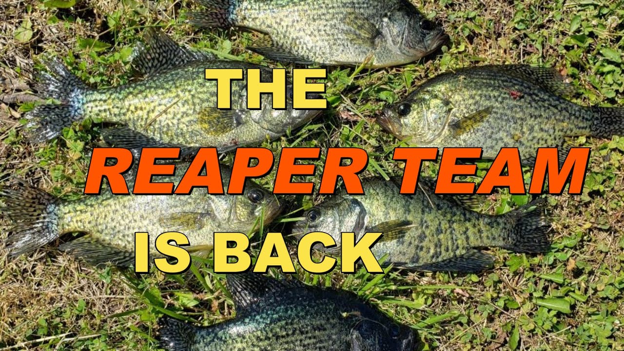 The REAPER TEAM is Back! Bass and Crappie - YouTube