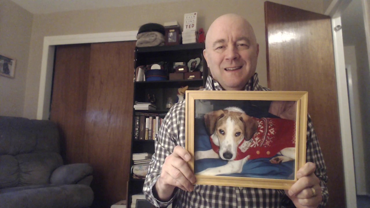 Daniel the Beagle - YouTube