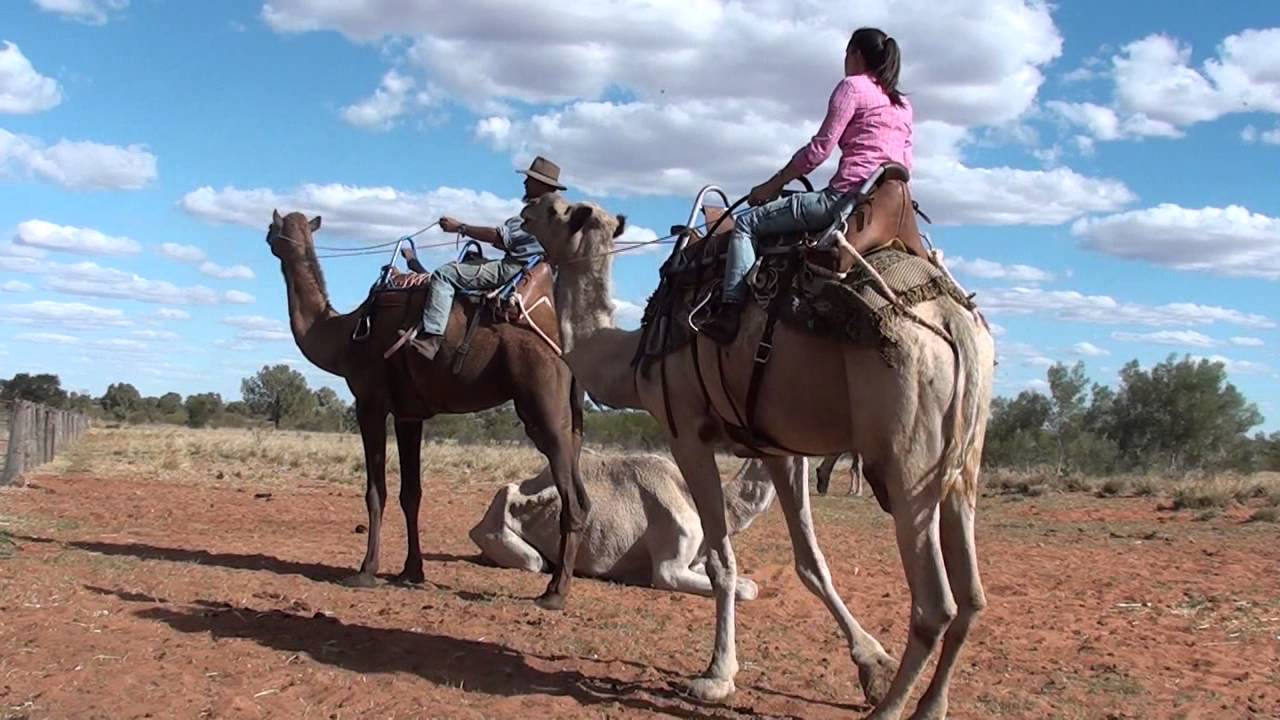 Camel Riding Alice Springs - YouTube