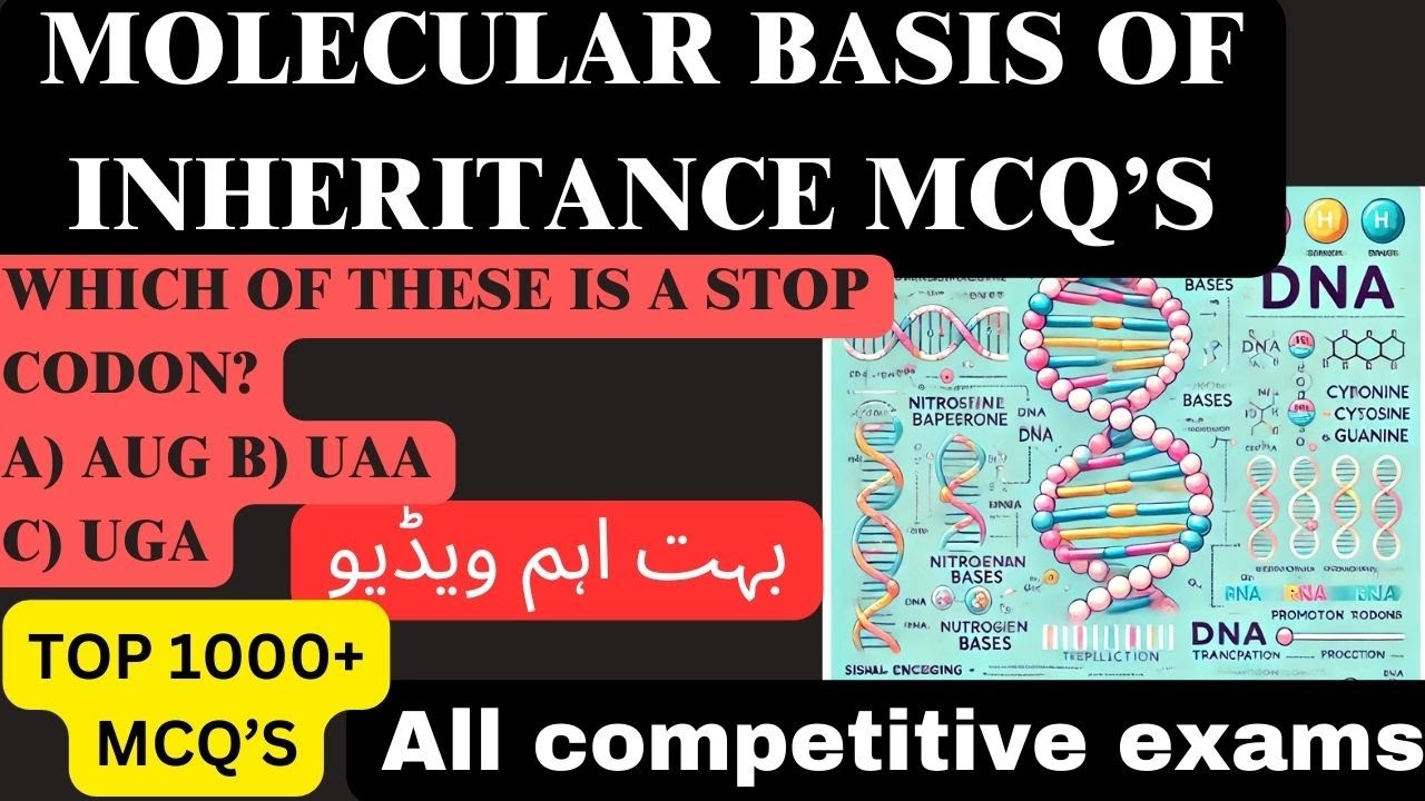 Molecular Basis Of Inheritance Previous Year ion Neet Molecular Molecular Basis Of Inheritance Previous Year ion Neet Molecular