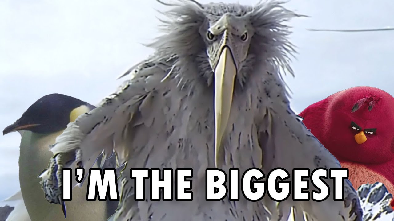 Opium Bird Is The Biggest Bird Im Da Biggest Bird Meme Meme From 2027 Opium Bird Youtube