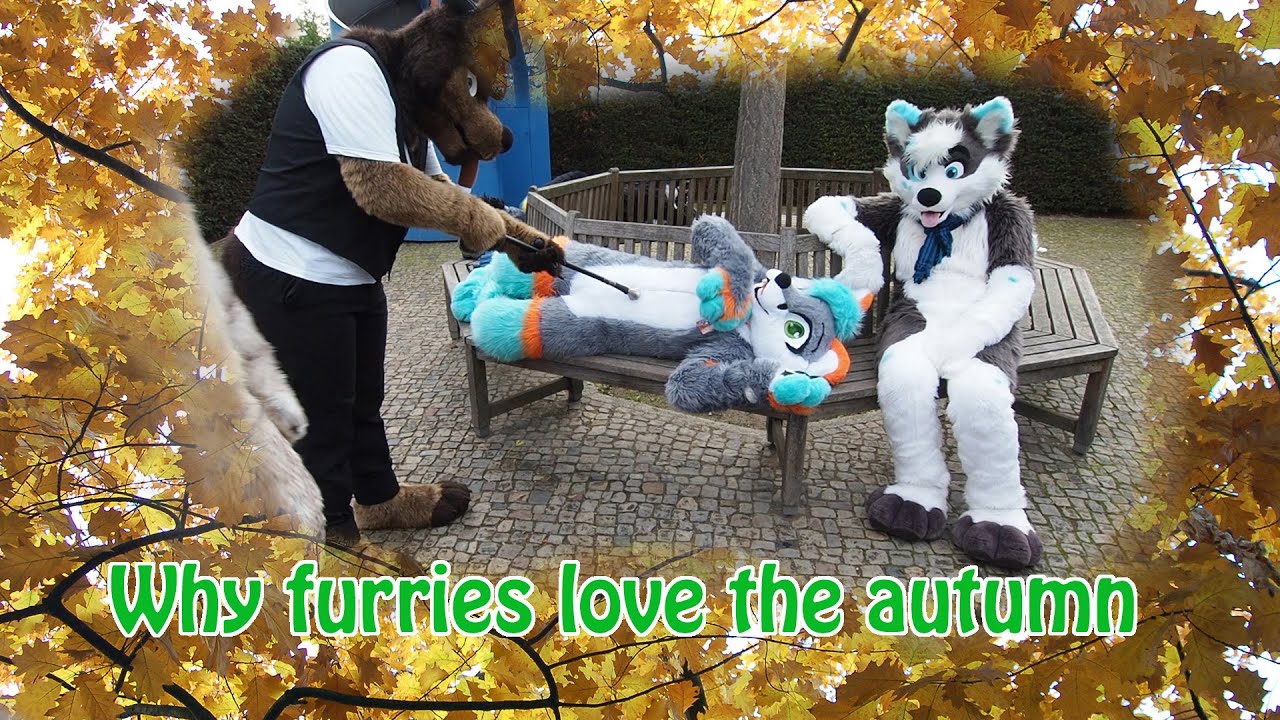 why furries love the autumn *** autumn furmeet for furries, fursuiter ...