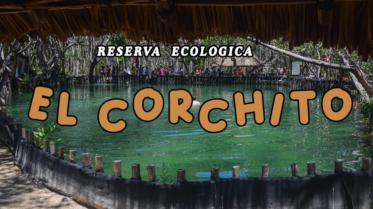 El corchito - Reserva ecológica 😲 - paraíso oculto - YouTube