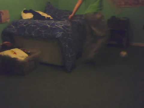 Video 0000 - YouTube